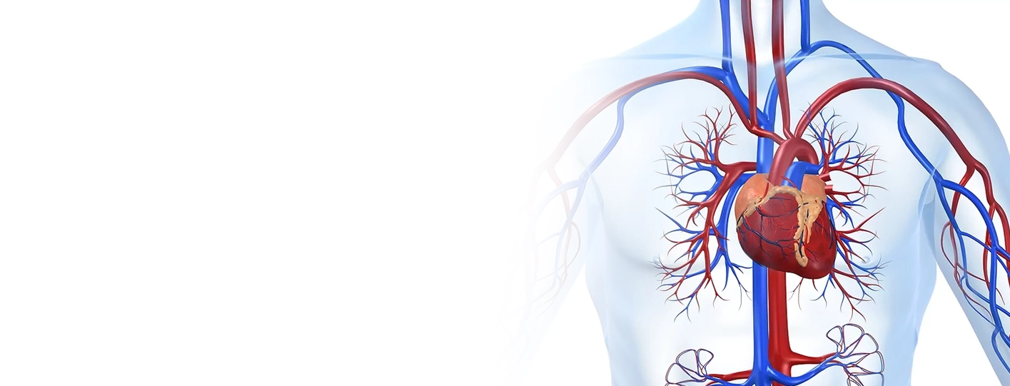 Aortic Vascular Diseases: Heart & Blood Vessel Care
